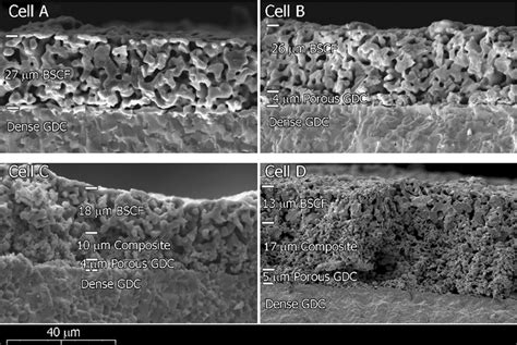 Sem Micrographs ×1850 Of The Electrodes Crosssection For