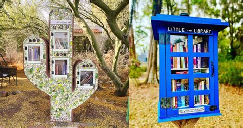 How To Set Up A Little Free Library Popular Science