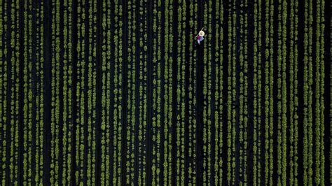Frame From The Matrix 1999 Where A Mouse Cursor Was Accidentally Left In R Misleadingthumbnails