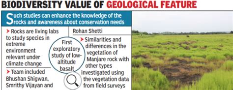 Manjare Rare Low Altitude Basalt Rock Plateau Discovered In Thanes Manjare Village Pune News