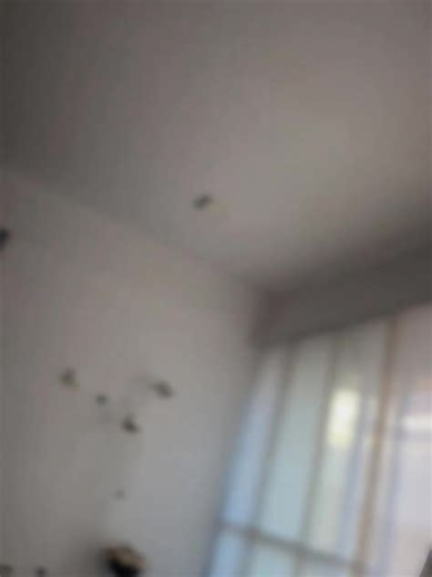 Catalina Restrepo Eporner