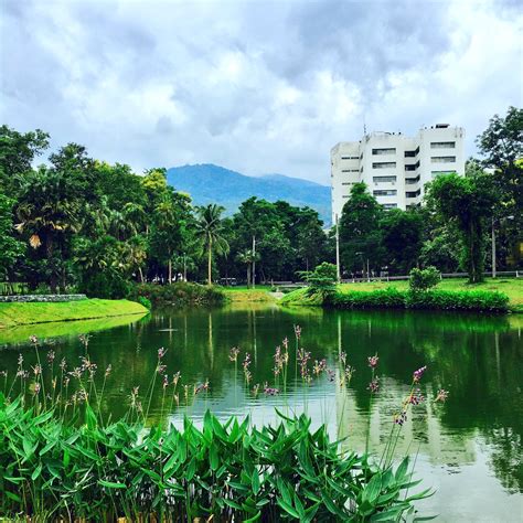 Rapin Prapin Twitter