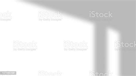 사실적인 흐릿한 자연광 나뭇잎 손바닥 및 창 그림자 오버레이가 벽 종이 또는 프레임 질감 추상 배경 여름 봄 가을에 제품 프레젠테이션 연단 및 모형 계절에 적용됩니다