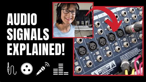 Mic Instrument And Line Level At Dollie Guth Blog