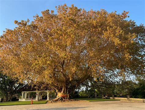 Naeya Umar Naeya Umar Added A New Photo — At