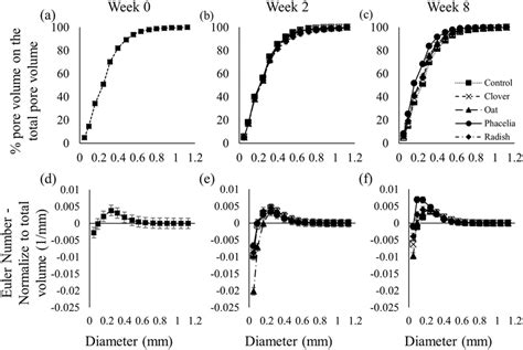 Minkowski Functions Of Treatments At Core Scale 40 μm Resolution At Download Scientific