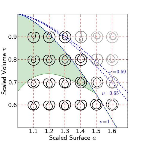 5 Geometric Phase Diagram With Vertical Slices Of Each Simulation Download Scientific Diagram