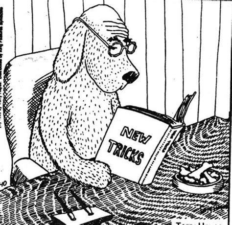 Quantization Aware Training Qat Vs Post Training Quantization Ptq