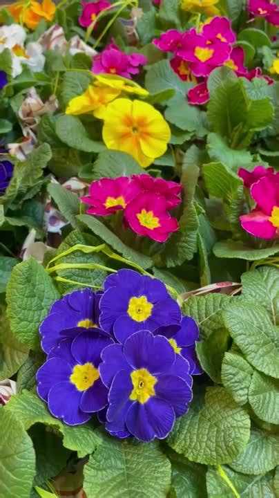 Graepel On Linkedin Graepel Weltfrauentag Internationalwomensday