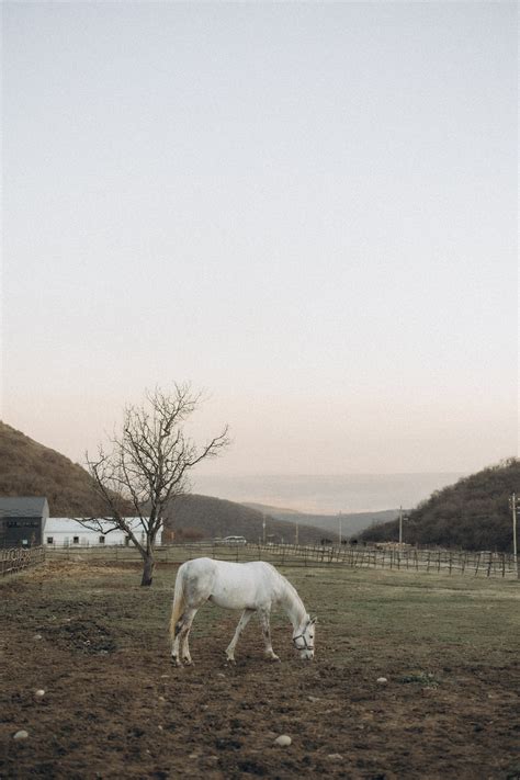 Frame Me Frame Me Added A New Photo