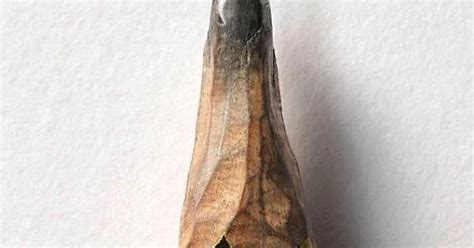 Graphitte Album On Imgur