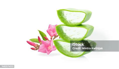 슬라이스가 있는 알로에 베라와 스파를 위한 플루메리아 핑크 색상은 흰색 배경 허브 및 의료 개념 선택적 초점에서 휴식을 취합니다 0명에 대한 스톡 사진 및 기타 이미지