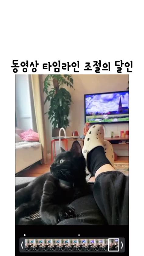 별이슈 Issuestar 👈 팔로우💜 💎최신 소식으로 매일매일 업로드💎 피드 문제 및 각종 문의 Dm주세요 이슈 화제 유머 뉴스 웃긴짤 릴스 근황