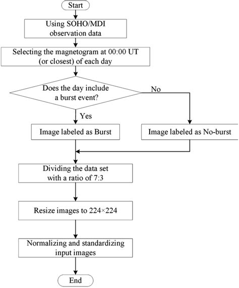 Flow Chart Of Datasets Creation Download Scientific Diagram