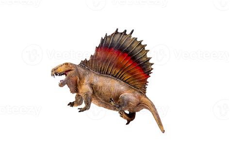 Dinosaur Dimetrodon Isolated Background 21183104 Png