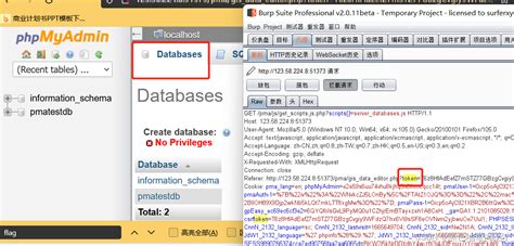 漏洞复现 phpmyadmin 文件包含CVE 2014 8959 phpmyadmin 文件包含 cve 2014 8959 CSDN博客
