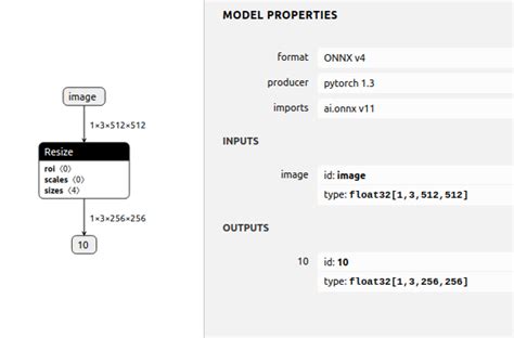 Onnx Mnn Resize Operation Outputs Extra Dimension · Issue 784 · Alibabamnn · Github