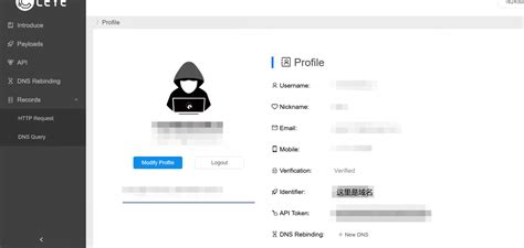 Sql注入 Dnslog注入 Iwakuralain 博客园