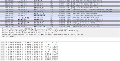 Wireshark Tcp Socket Payload Bonelee
