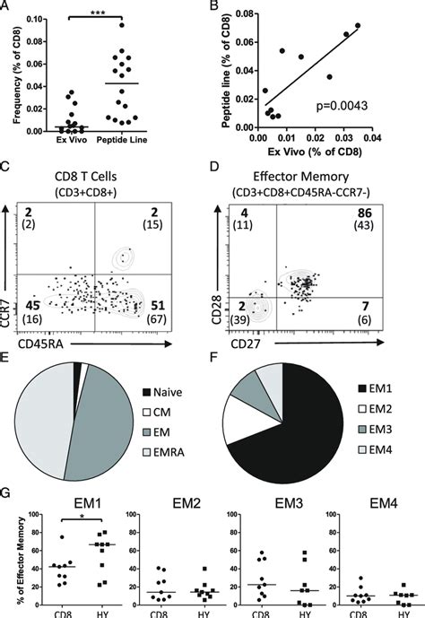 Ex Vivo Detection And Memory Phenotype Of Fetal Specific T Cells During