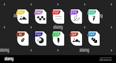 File Type Icon Set Popular Files Format And Document In Flat Style Design Format And Extension