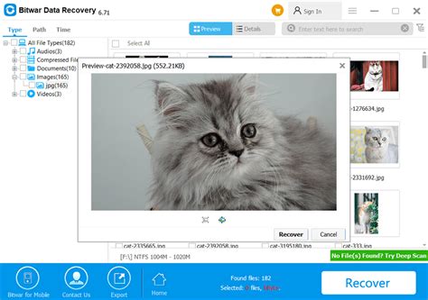 7 effective solutions to the reference by pointer error bitwarsoft