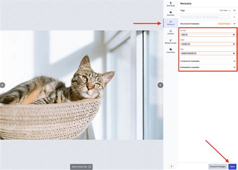 Building A Multivariate Testing Workflow With Cloudinary Dam