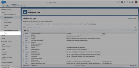 Enabling Developer Console Using Permission Sets