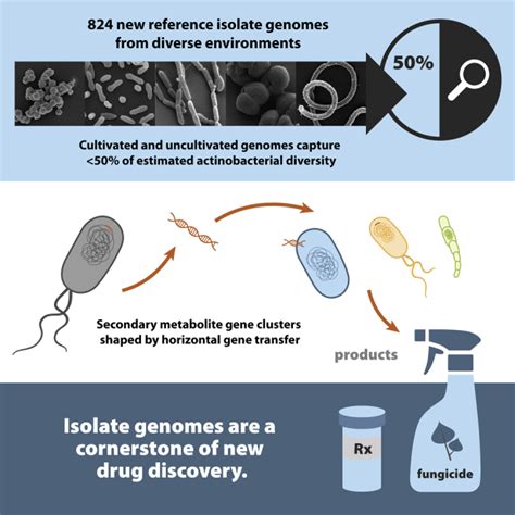 Expanding The Genomic Encyclopedia Of Actinobacteria With 824 Isolate Reference Genomes