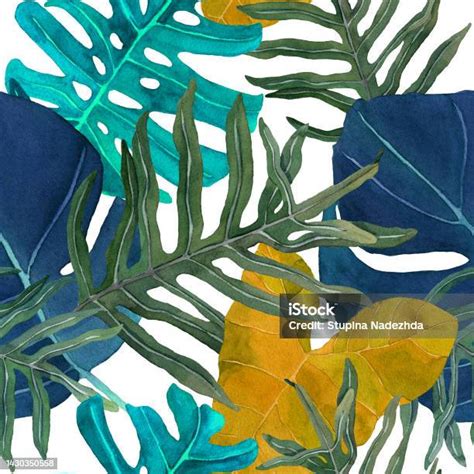 흰색 배경에 열대 잎이있는 수채화 이음새가 없는 패턴 큰 정글 나무 수채화에 대한 스톡 벡터 아트 및 기타 이미지 수채화 트로피컬 패턴 꽃무늬 Istock