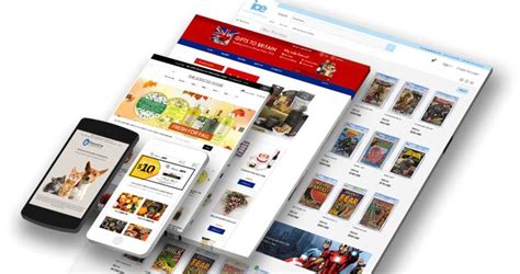 we are professional web developers asif habib posted on the topic