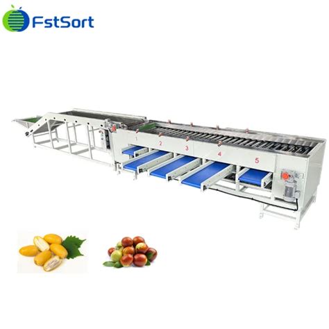Auto Jujube Sorting Grading Machine Lemon Round Fruit Size Sorter