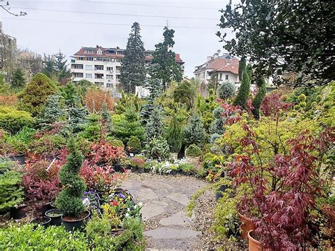 Градински център Божилови предлага проектиране озеленяване производство и продажба на