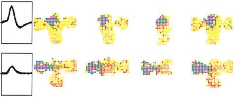 Firing Rate Maps Of Place Cells In Experiment 2 Cell 1 Had Its Field