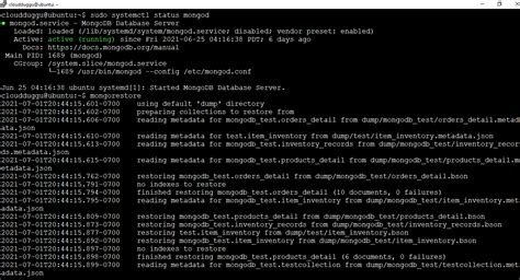Mongodb Backup And Restore Cloudduggu