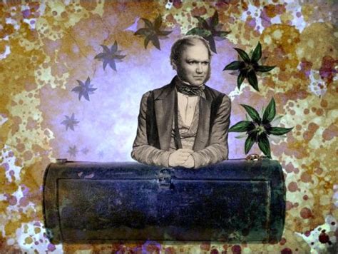 Charles Darwins Vasculum Teaching Resources