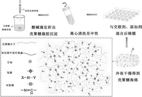 壳聚糖基载药柔性海绵的制备方法与流程
