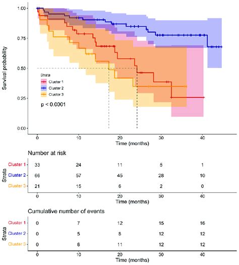 A Kaplan Meier Plot Showing Survival Over Time For The Clustered Download Scientific Diagram