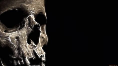 [800 ] Skull Wallpapers