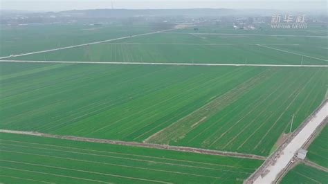 新华全媒 丨高标准农田建设让“三跑田”变“三保田” 凤凰网视频 凤凰网