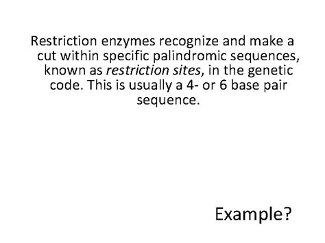 Restriction Enzymes Restriction Enzymes Enzyme That Cuts Dna