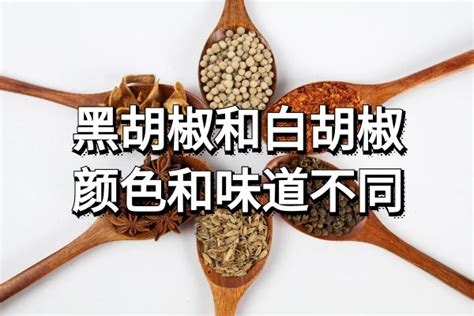 黑胡椒和白胡椒的区别是什么？哪种更好呢？tom母婴