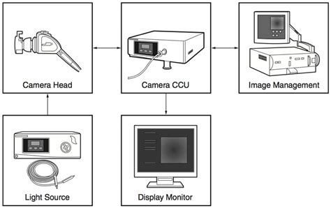 Using Xilinx Fpgas To Solve Endoscope System Architecture Challenges