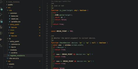 My Wordpress Template 2024 Made From Vite And Typescript Dev Community