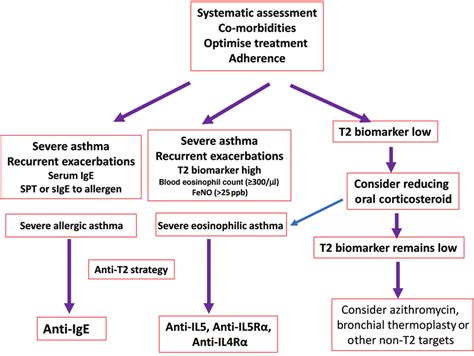 Management Algorithm For Severe Asthma After Confirming The Diagnosis Download Scientific