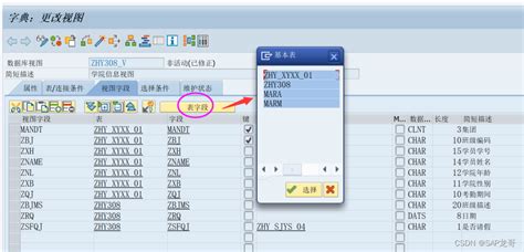 Sap Abap 视图abap 视图 Csdn博客 Sap Abap 视图abap 视图 Csdn博客