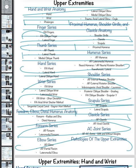 Upper Extremities Lmrt Review Guide Etsy