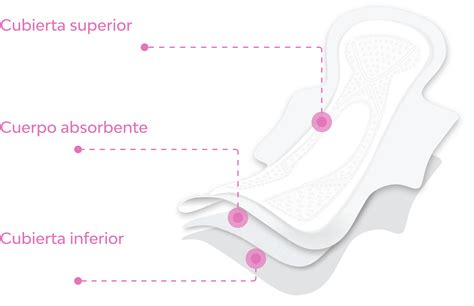 Conoce La Nueva Línea Saba® V Bio