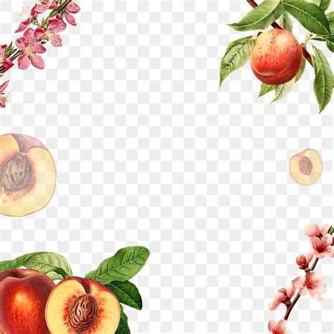 Peach Template Free Psd Vector And Png Social Media Templates Rawpixel