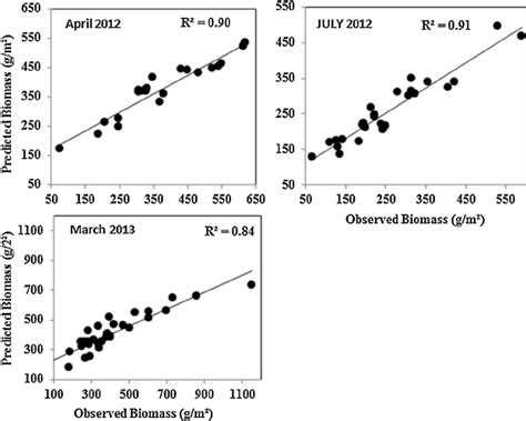 Leaf Biomass Estimation Performance Of Grass For Various Seasons